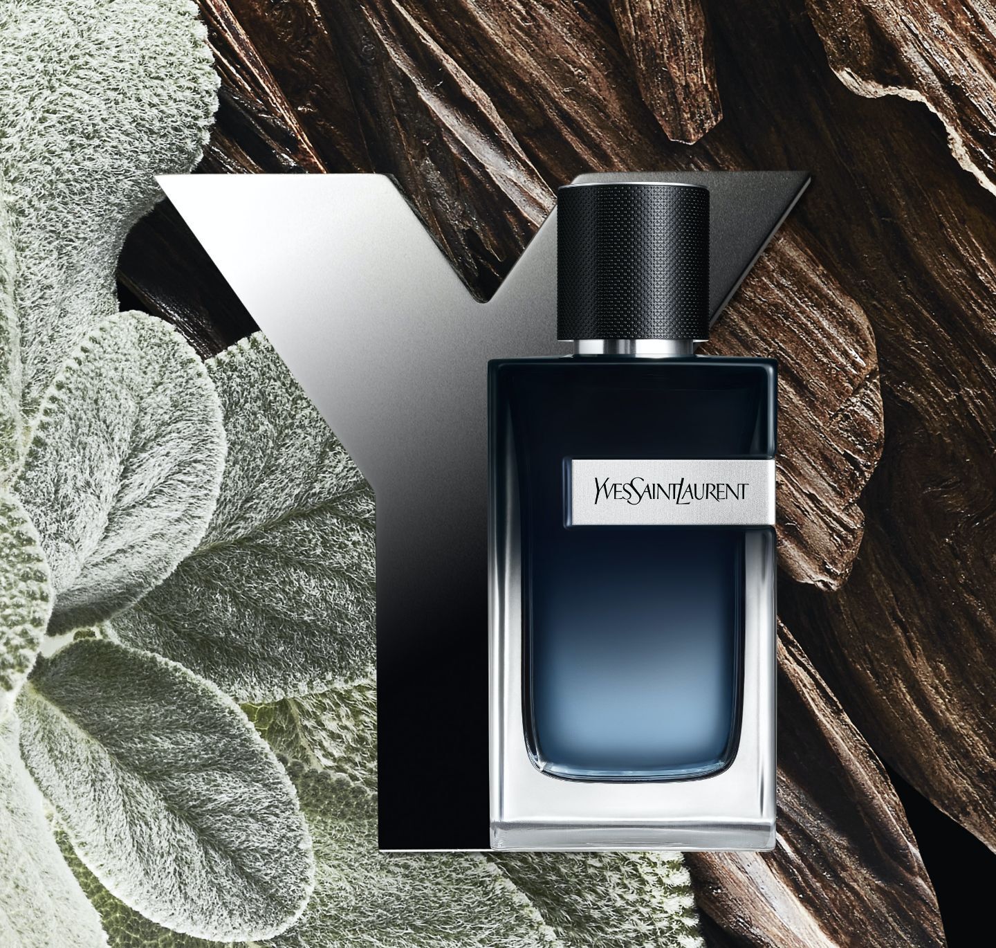 DISCOVER THE LEGENDARY LONG-LASTING Y SCENTS BY YSL BEAUTY.
